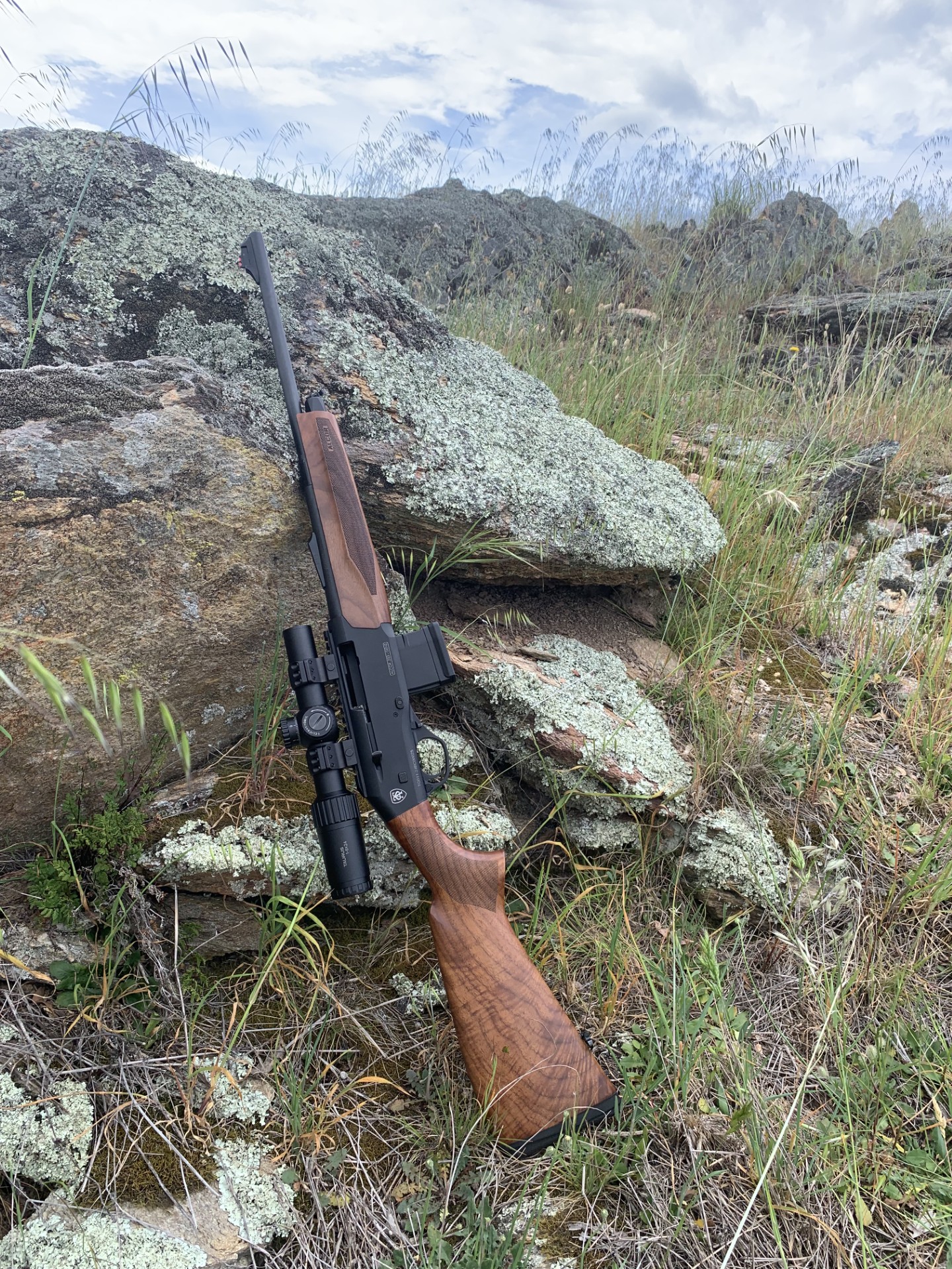 Firearms: Alcor 223 Push Button Rifle